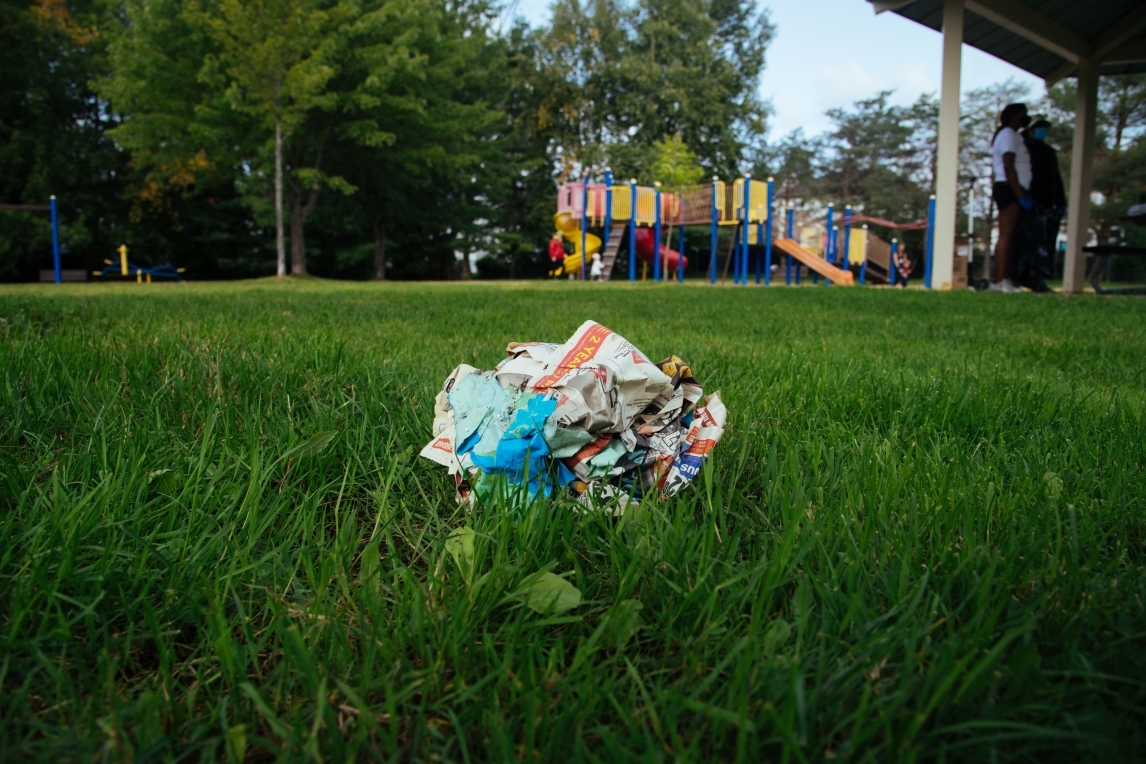 Cleaning the Capital Fall Campaign – Bay Ward Bulletin